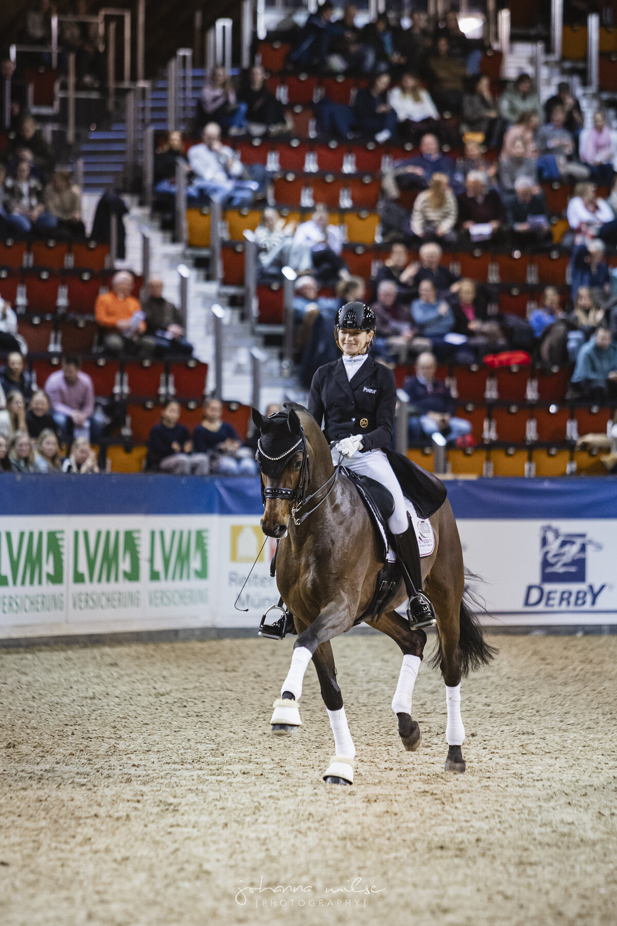 Stallion gala in Münster: Federer at his best - Willkommen auf der ...