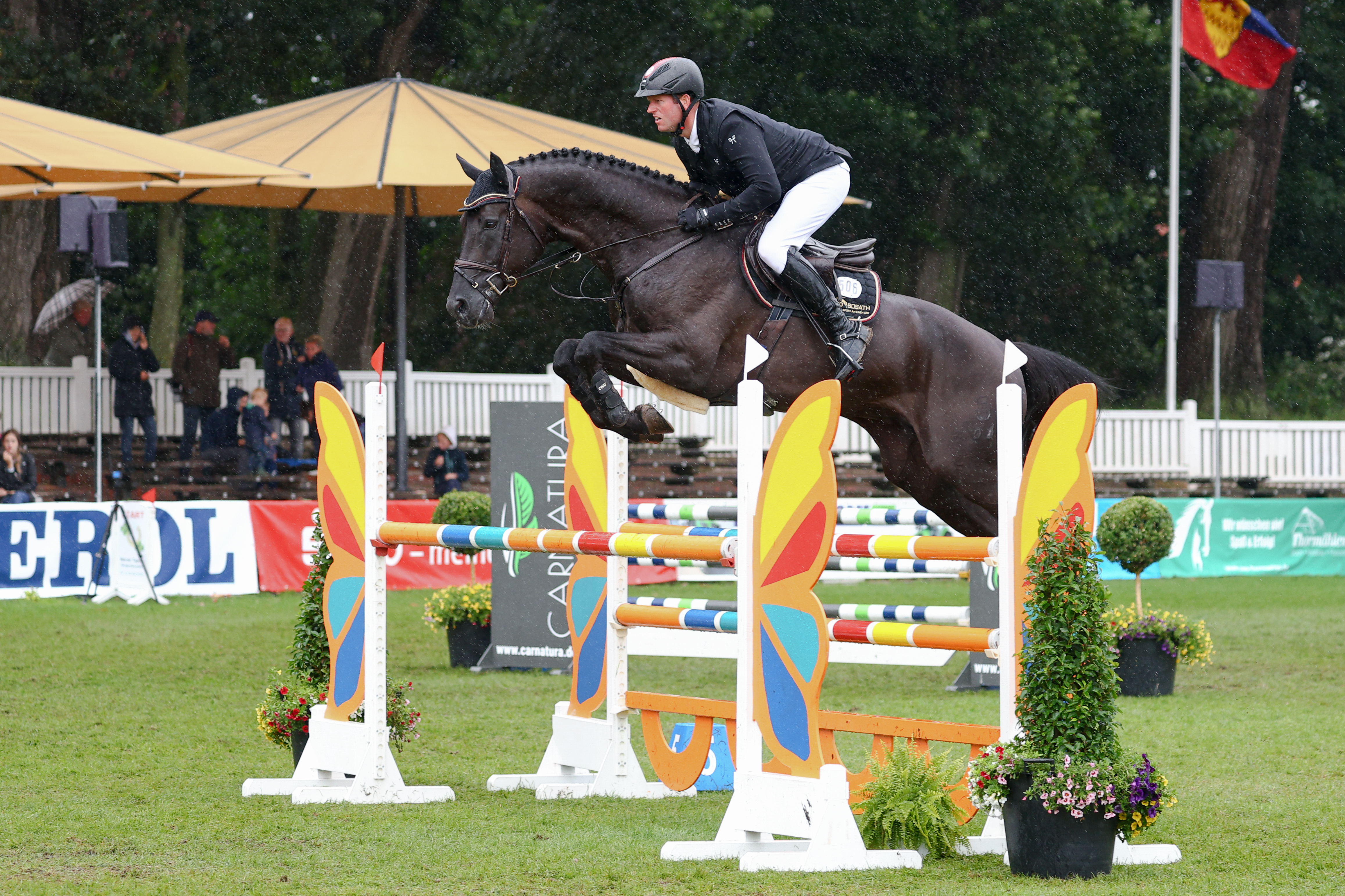 Numerous offspring qualify for the Bundeschampionat - Willkommen auf ...
