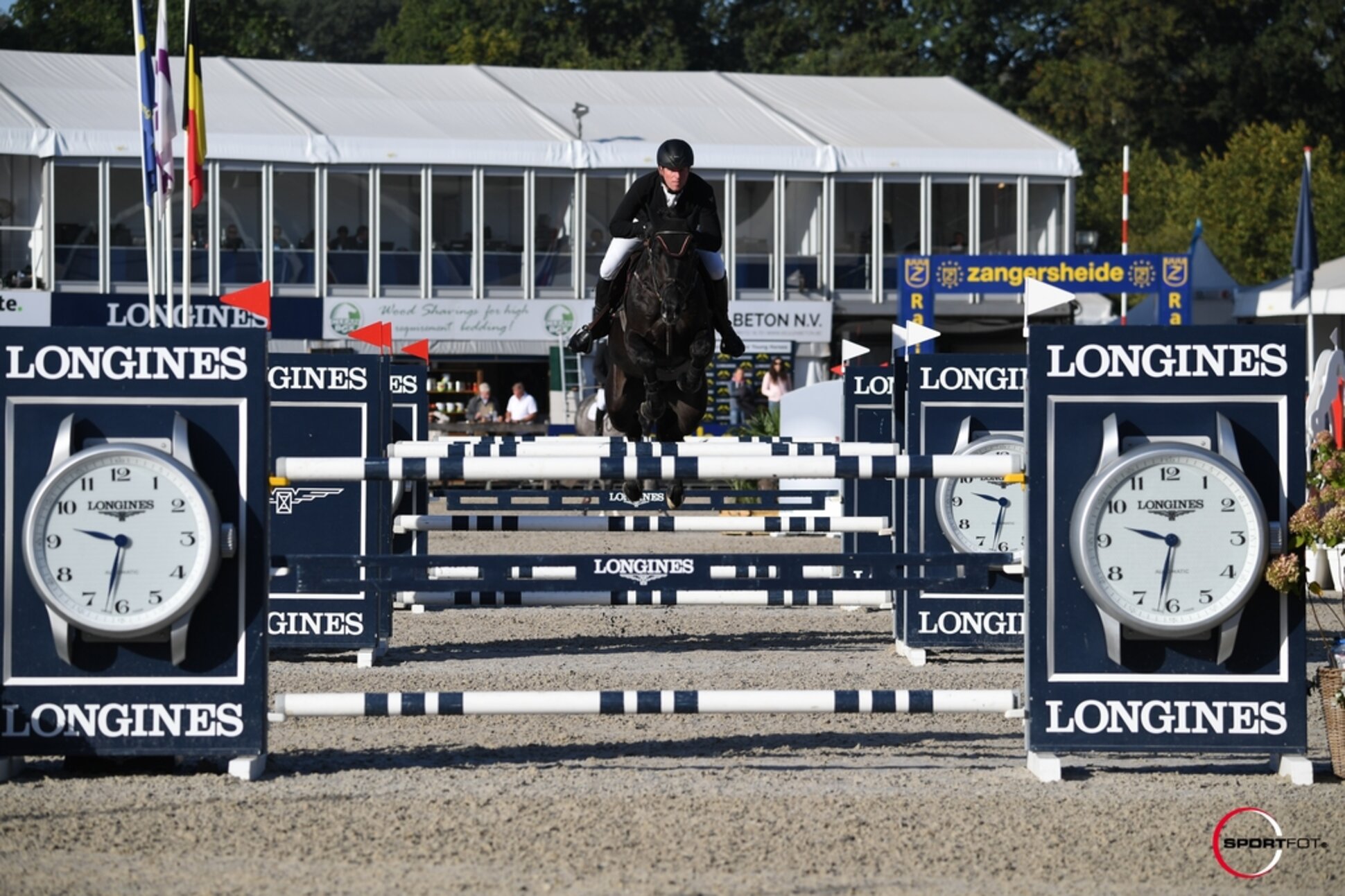 Comme Prévu - Willkommen auf der Hengststation Sosath | Hof Sosath
