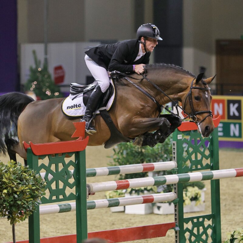 Comme Prévu - Willkommen auf der Hengststation Sosath | Hof Sosath