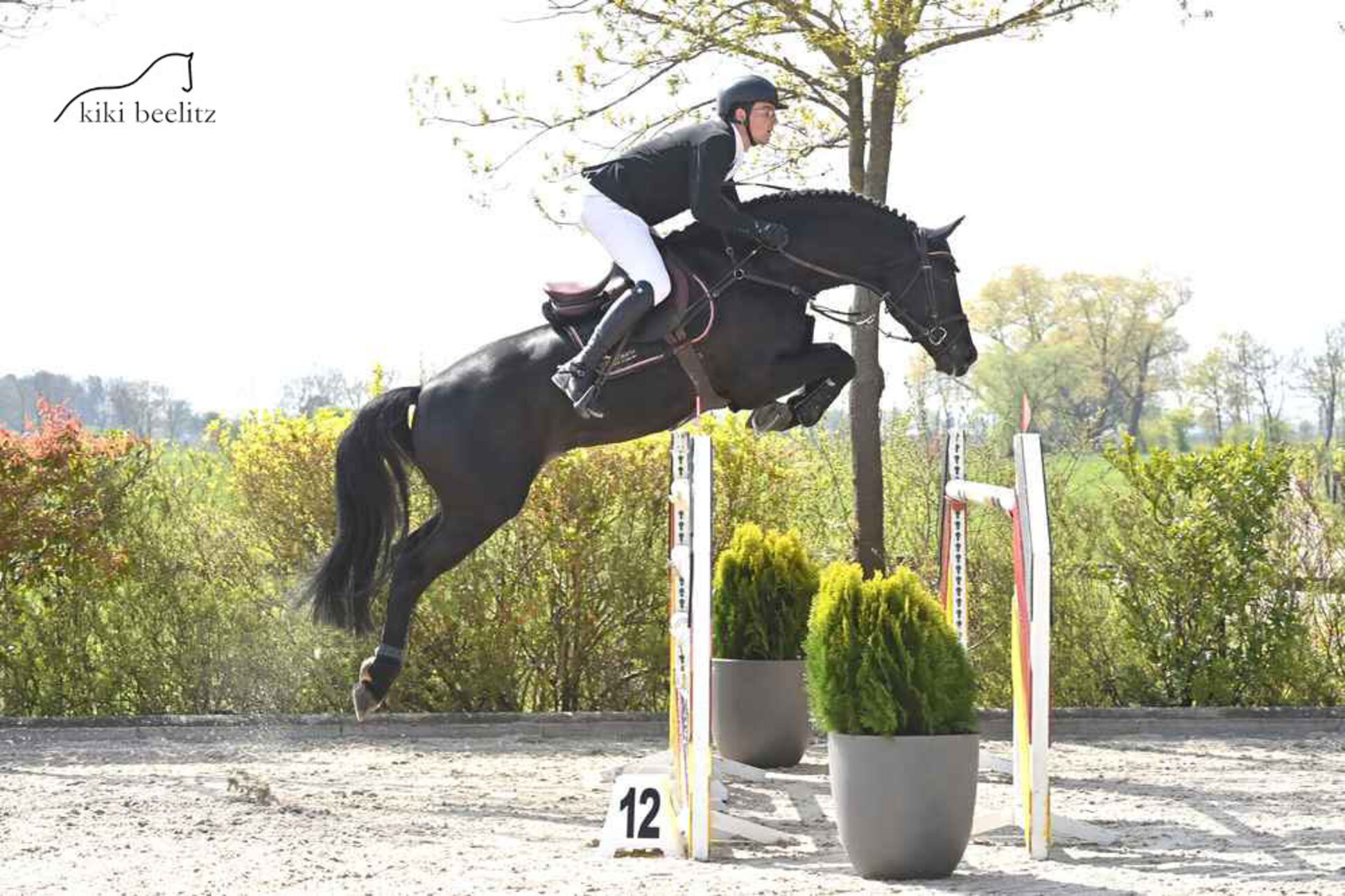 Comme Prévu - Willkommen auf der Hengststation Sosath | Hof Sosath