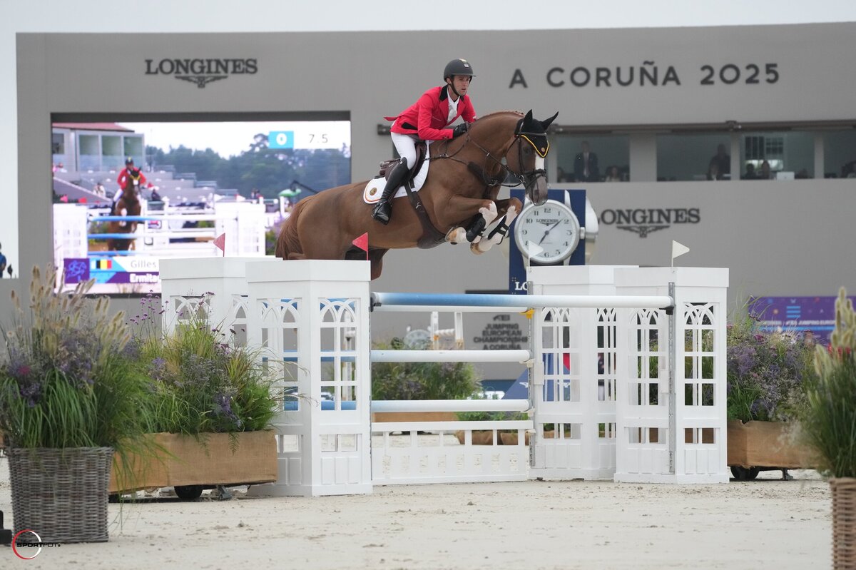 Ermitage foals and embryos at Ekestrian Auction - Willkommen auf der ...