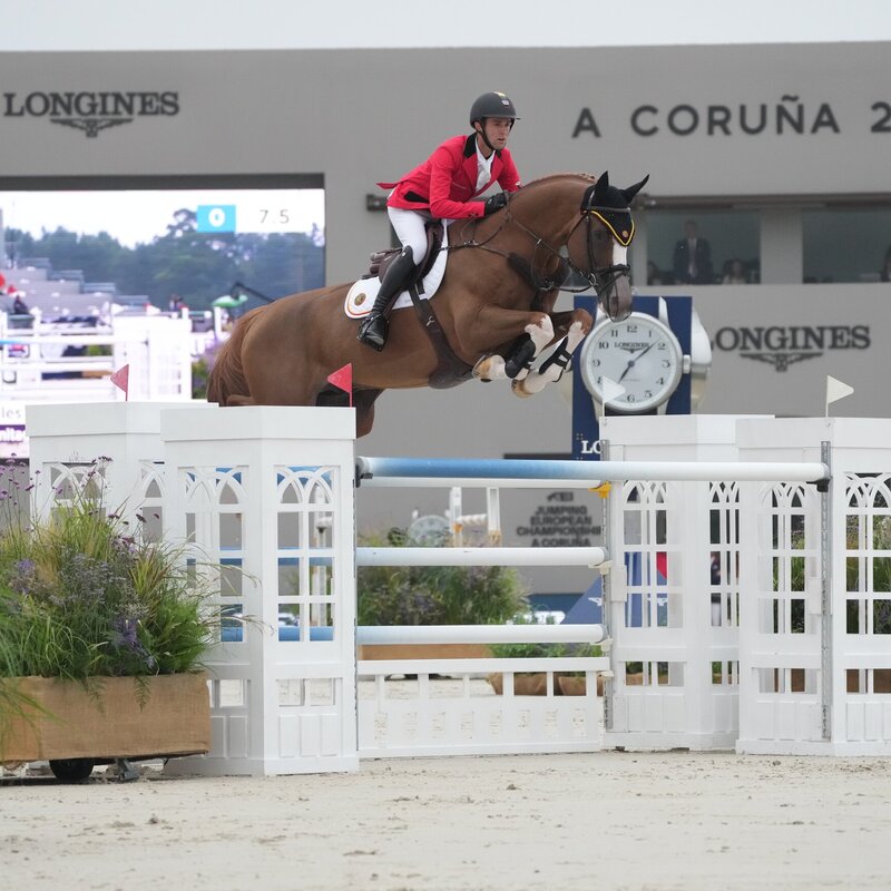 Ermitage Kalone - Willkommen auf der Hengststation Sosath | Hof Sosath