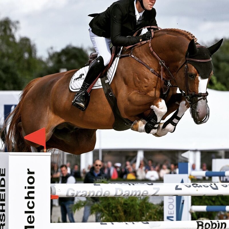 Ermitage Kalone - Willkommen auf der Hengststation Sosath | Hof Sosath