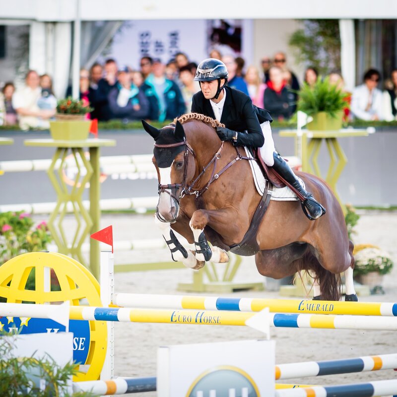 Ermitage Kalone - Willkommen auf der Hengststation Sosath | Hof Sosath