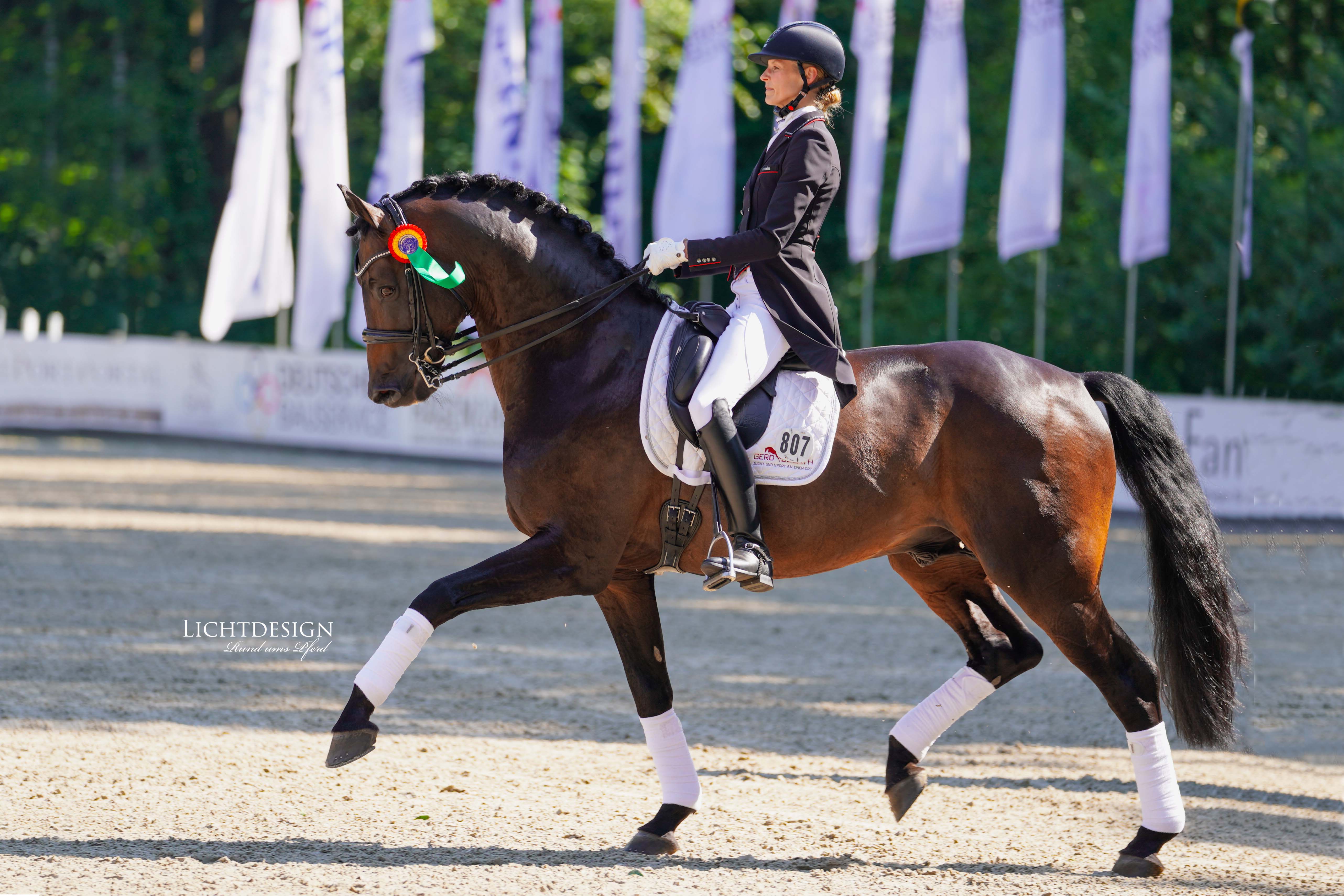 For Dance offspring shine: Oldenburger Verband honors “Future Sires ...