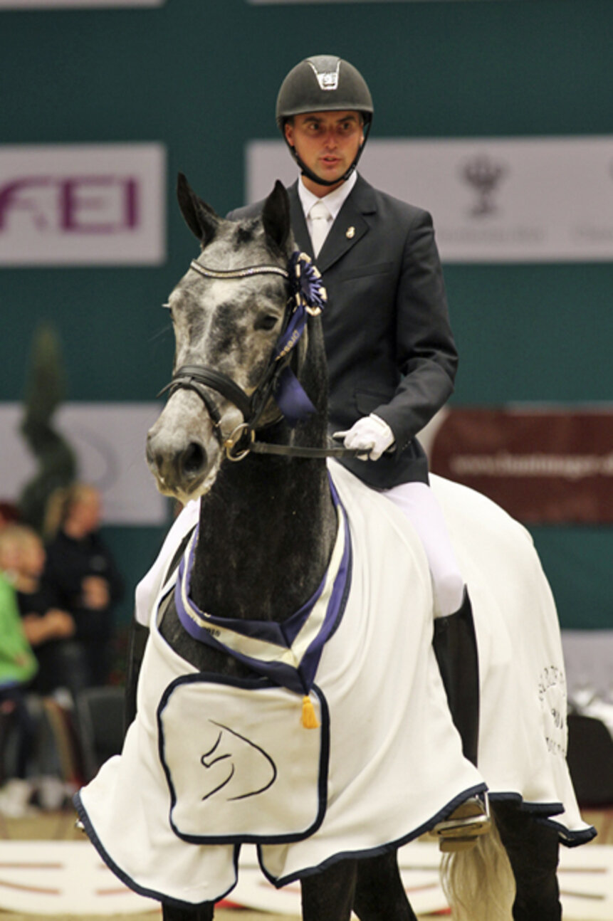 Stedinger - Willkommen auf der Hengststation Sosath | Hof Sosath