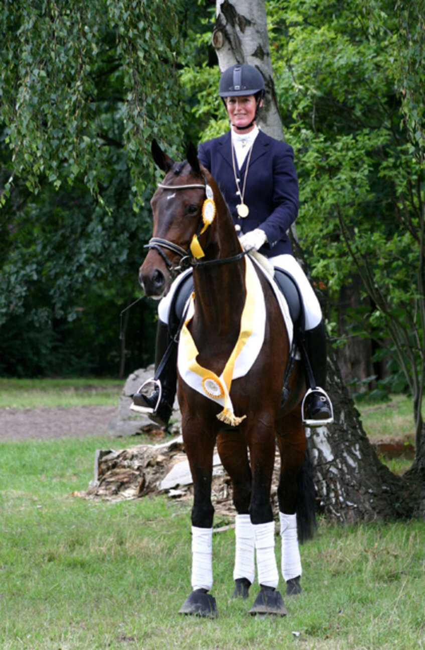 Stedinger - Willkommen auf der Hengststation Sosath | Hof Sosath