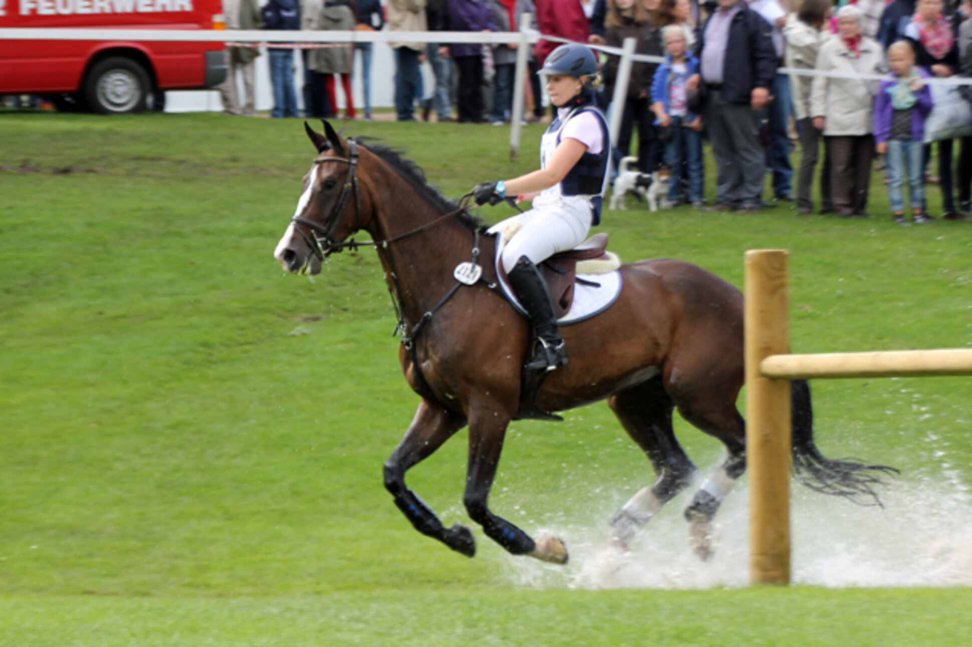 Stedinger - Willkommen auf der Hengststation Sosath | Hof Sosath