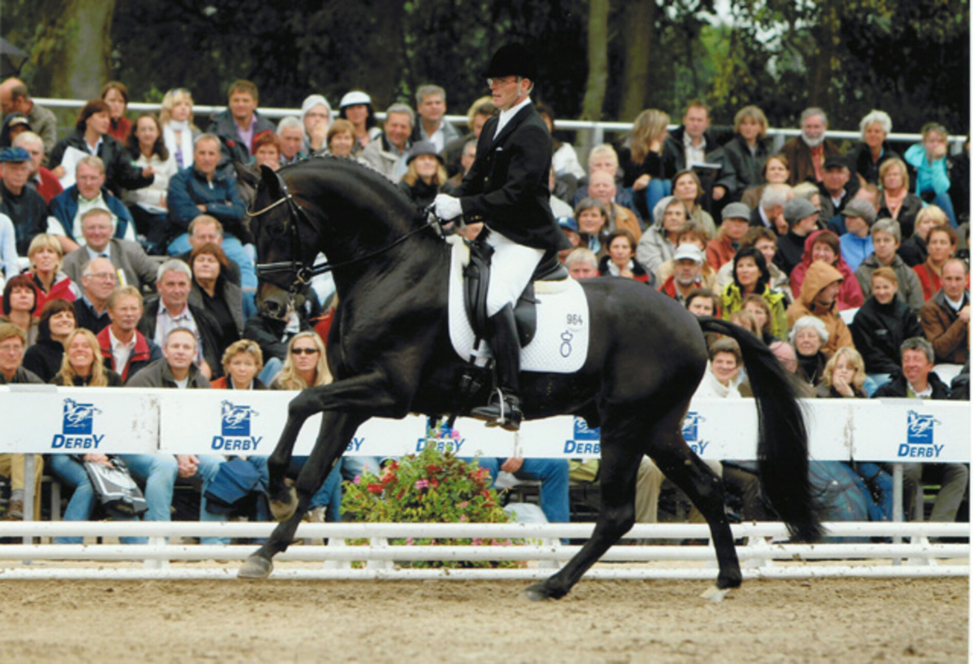 Stedinger - Willkommen auf der Hengststation Sosath | Hof Sosath