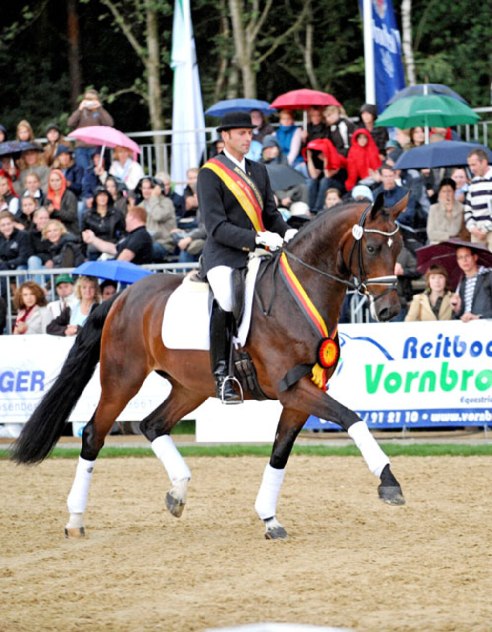 Stedinger - Willkommen auf der Hengststation Sosath | Hof Sosath