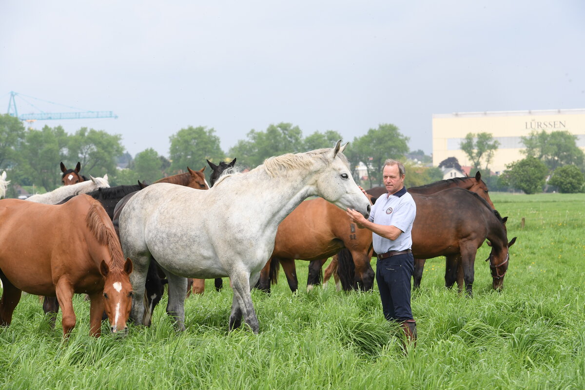 Foal birth checklist - Welcome to the Sosath Stallion Station | Hof Sosath